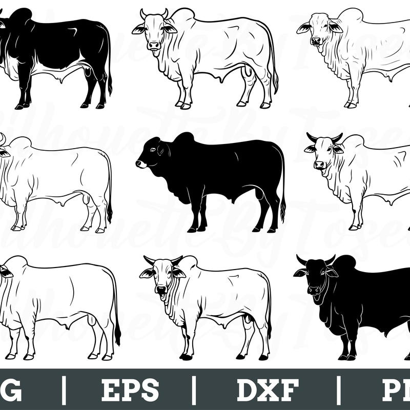 Bull Silhouette - Etsy