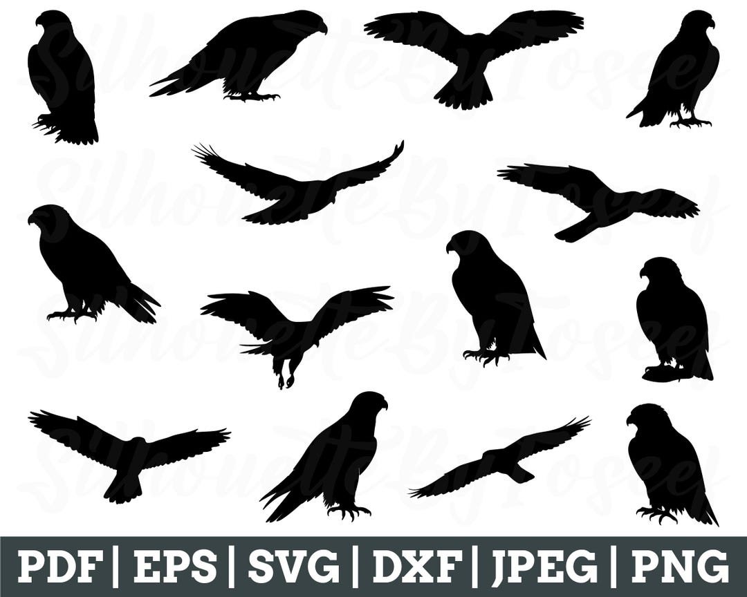 Falcon Svg, Falcon Silhouette, Falcon Cut File, Falcon Cricut, Falcon ...