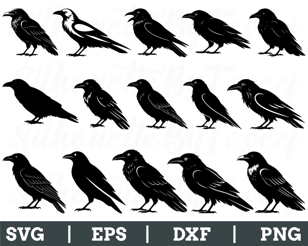 Raven Svg, Raven Silhouette, Raven Vector, Raven Dxf, Png - Etsy