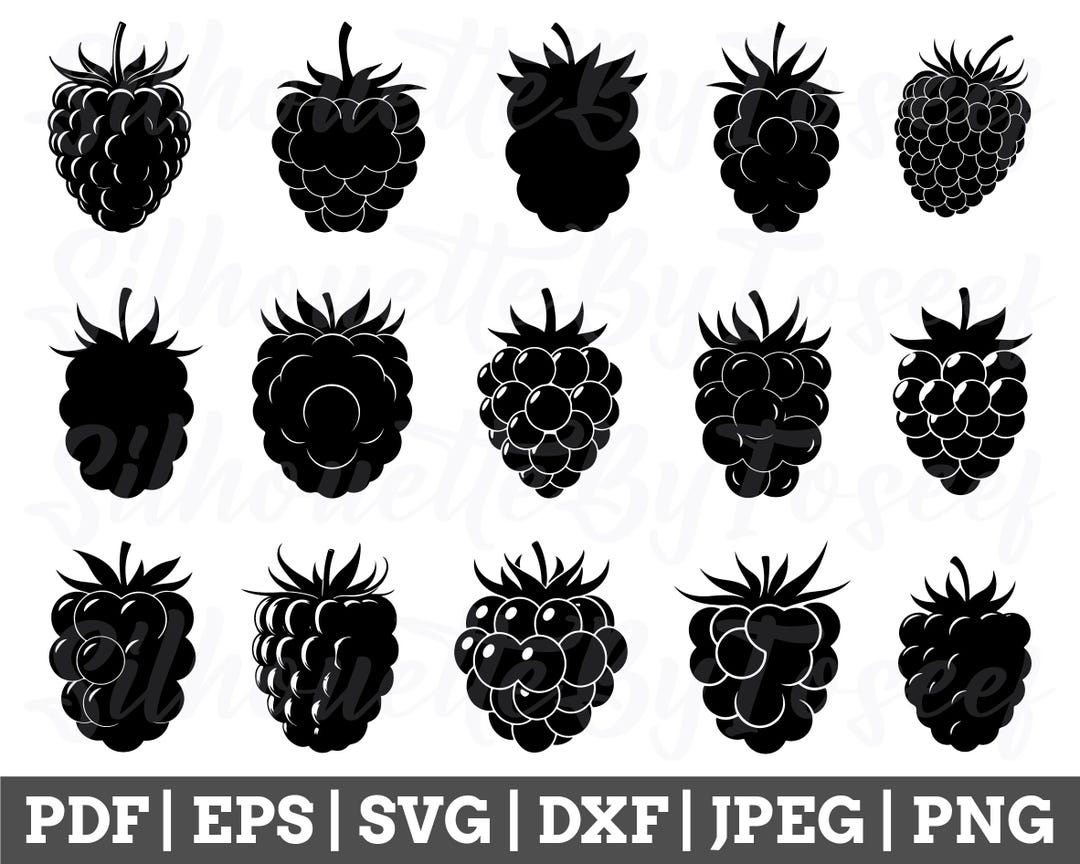 Raspberry Svg, Raspberry Cut File, Raspberry Cricut, Raspberry Dxf ...