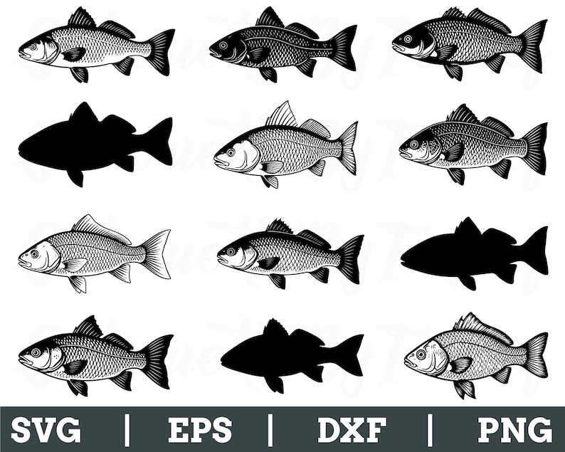 Redfish Svg, Redfish Silhouette, Outlined Redfish Vector, Dxf, Png - Etsy