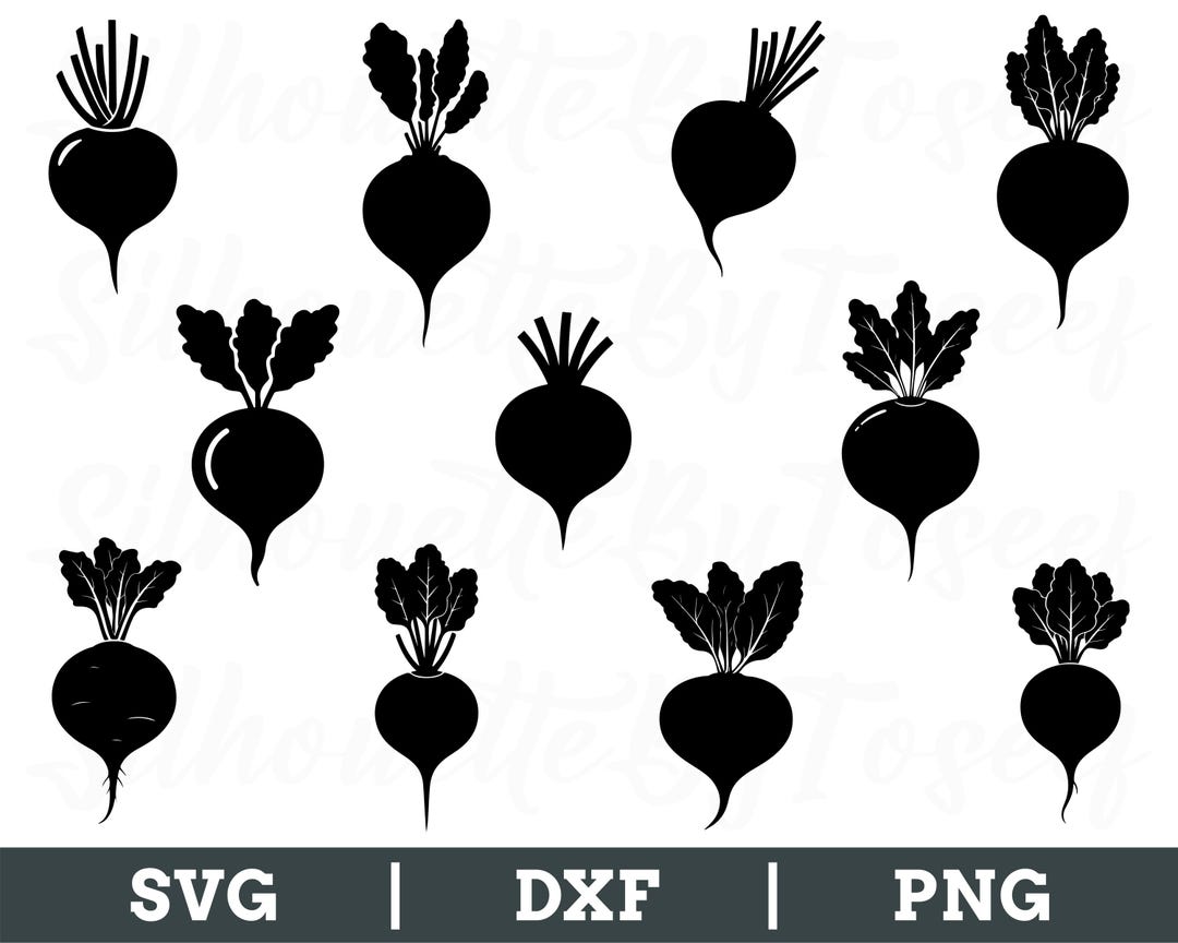 Beet Svg, Beet Silhouette, Beet Vector, Beet Dxf, Vegetable Png - Etsy