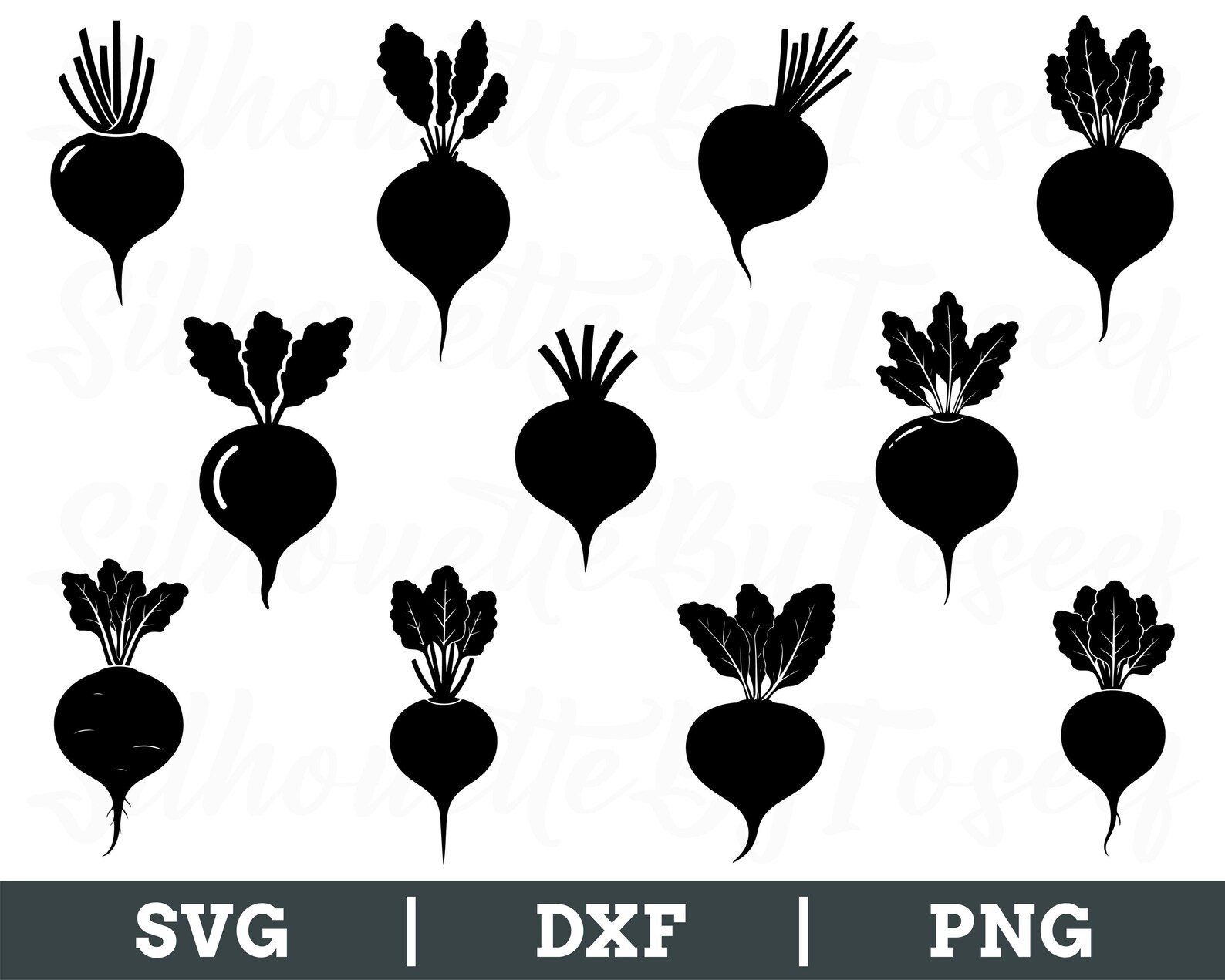 Beet Svg, Beet Silhouette, Beet Vector, Beet Dxf, Vegetable Png - Etsy