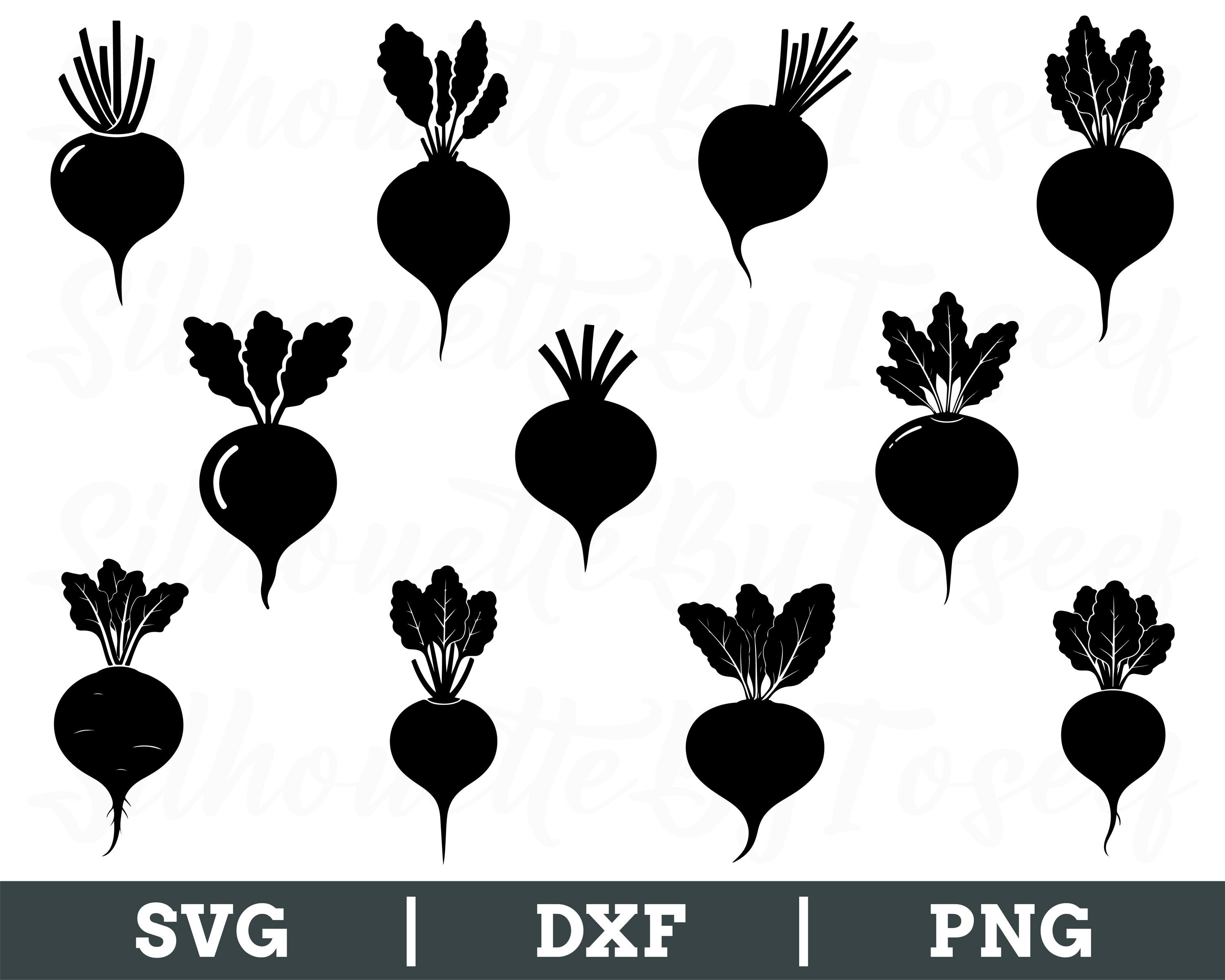 Beet Svg, Beet Silhouette, Beet Vector, Beet Dxf, Vegetable Png - Etsy