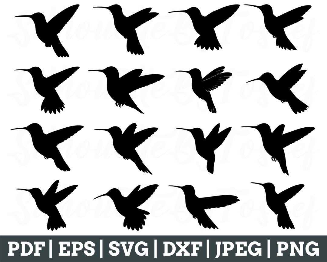 Hummingbird Svg, Hummingbird Cut File, Hummingbirds Vector, Bird ...