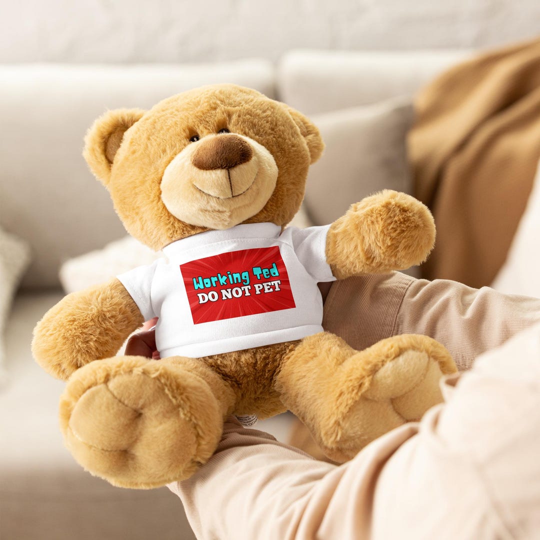 Sensory Plush Stim Teddy Bear: Neurodivergent Comfort Toy - Etsy