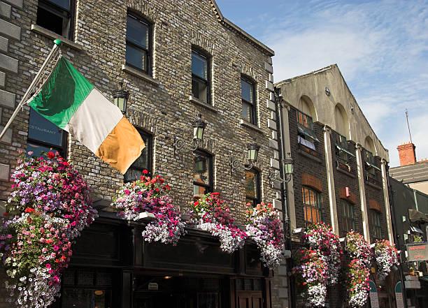 Classic Dublin Riverfront With Historic Bridge: Virtual Meetings With ...