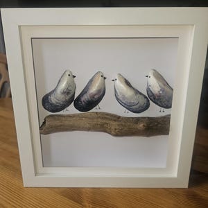 Scottish Mussel Shell Bird Art: Framed Pebble & Driftwood Picture - Etsy