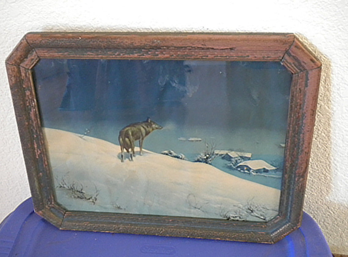 Antique Vintage Lone Wolf Print in Wooden Frame 1925 Borin | Etsy