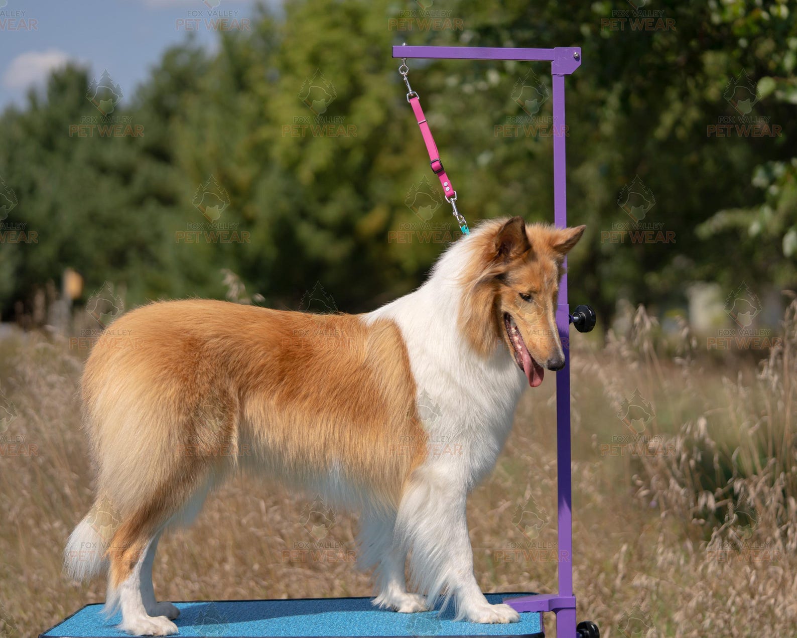 Biothane® Adjustable Grooming Tether With Clips - Optional Quick ...