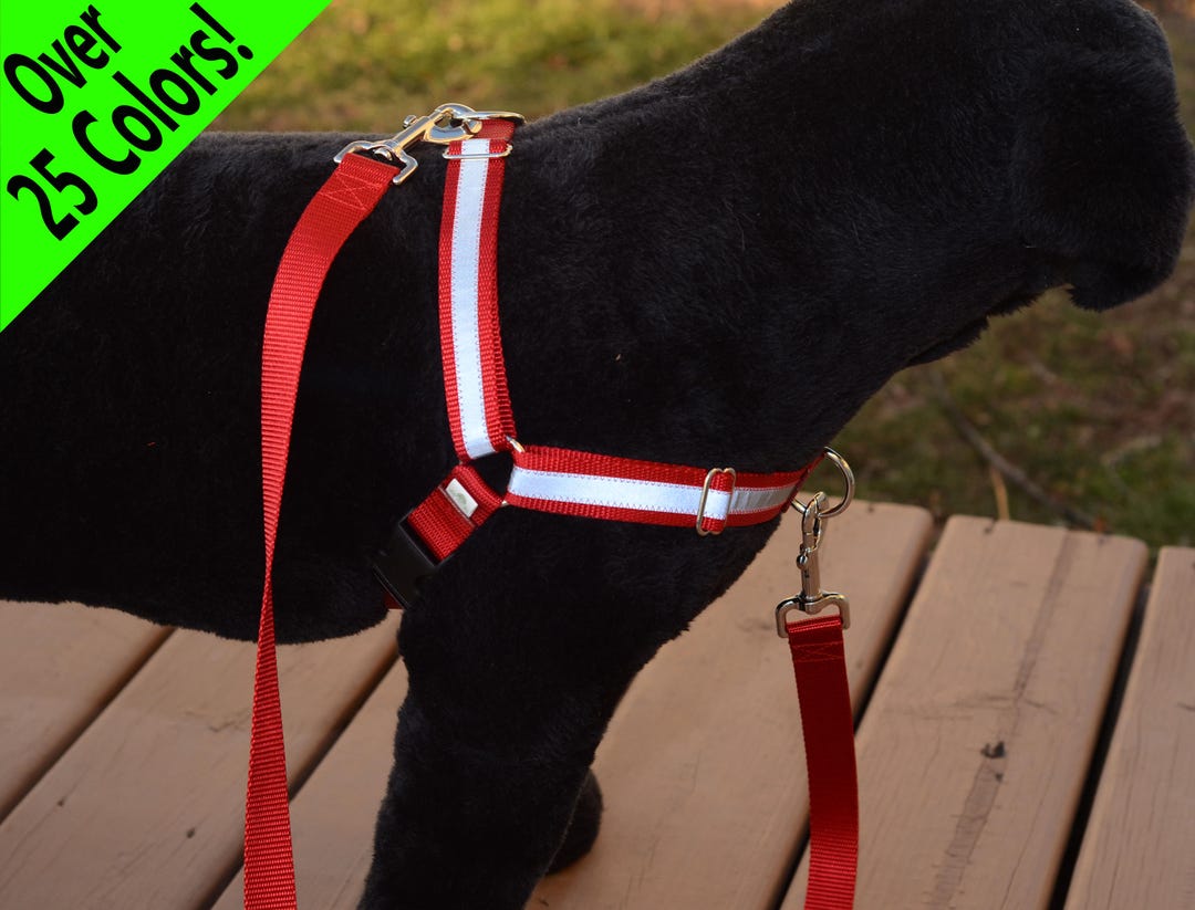 Reflective Dual-attach No-pull Harness™, Front Attach, Back Attach ...
