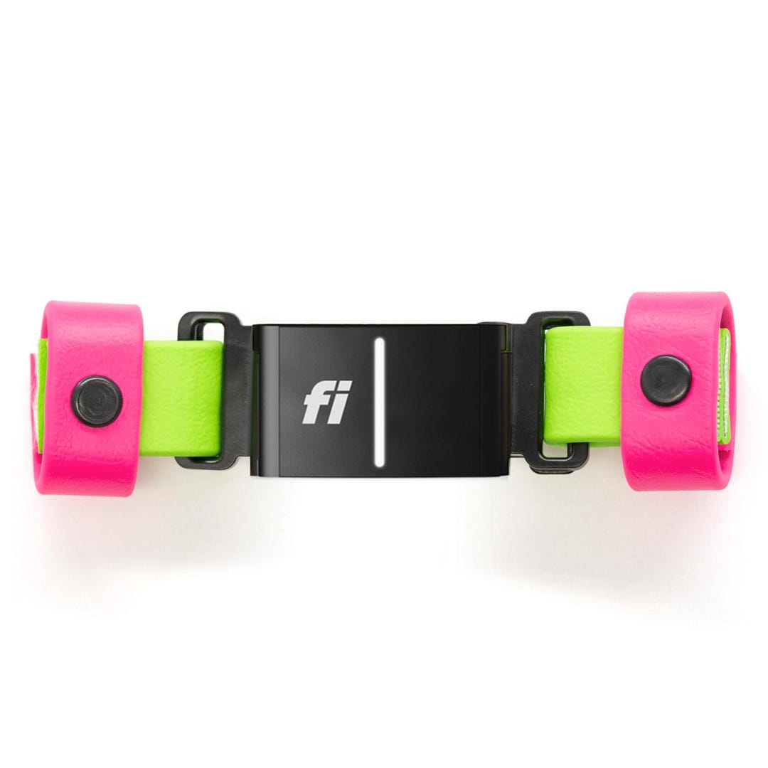 Fi Holder | Turn Any Collar Into a Fi Collar | Fi Series 3 / 3 ...