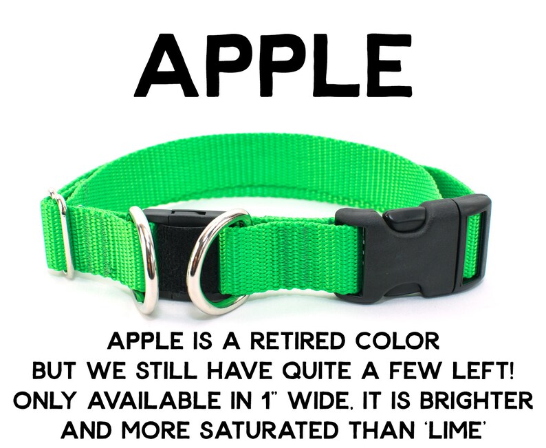 Solid Color BREAKAWAY Safety Dog Goat Pig Sheep Collar Many - Etsy