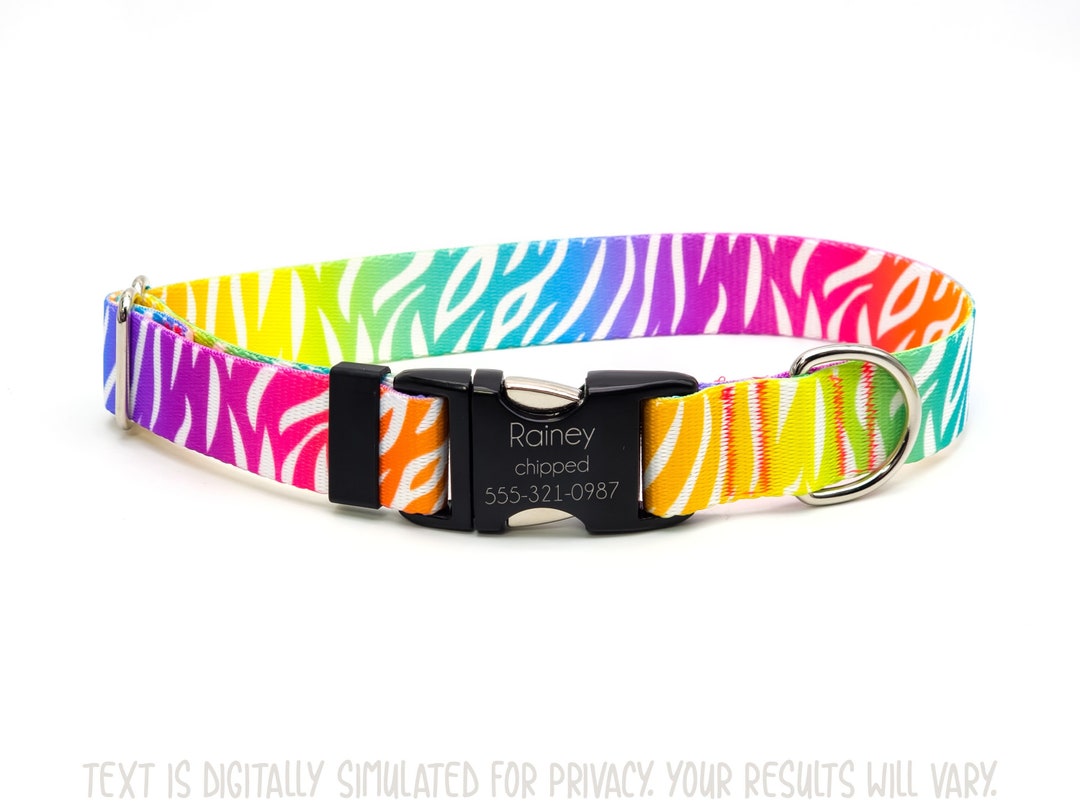 Personalized "neon Zebra" | Rainbow Tiger Stripes, Flat Adjustable Dog ...