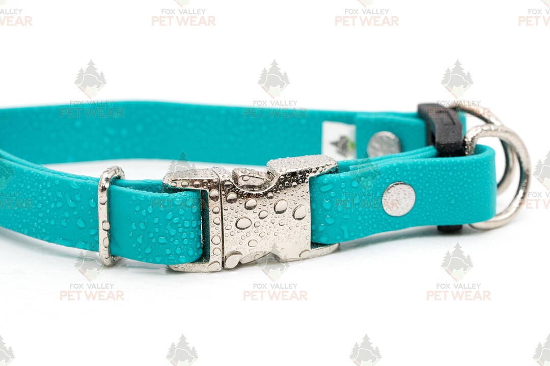 BREAKAWAY Personalized Biothane Teal Dog Collar | Waterproof | Stink ...