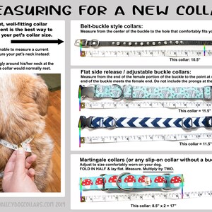 Solid Color BREAKAWAY Safety Dog Goat Pig Sheep Collar Many Colors Any ...