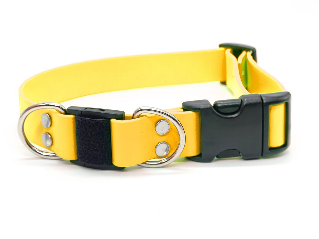 BREAKAWAY Personalized Biothane lemon Yellow Dog Collar Waterproof ...