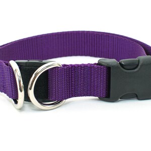 Solid Color BREAKAWAY Safety Dog Goat Pig Sheep Collar | Personalized ...