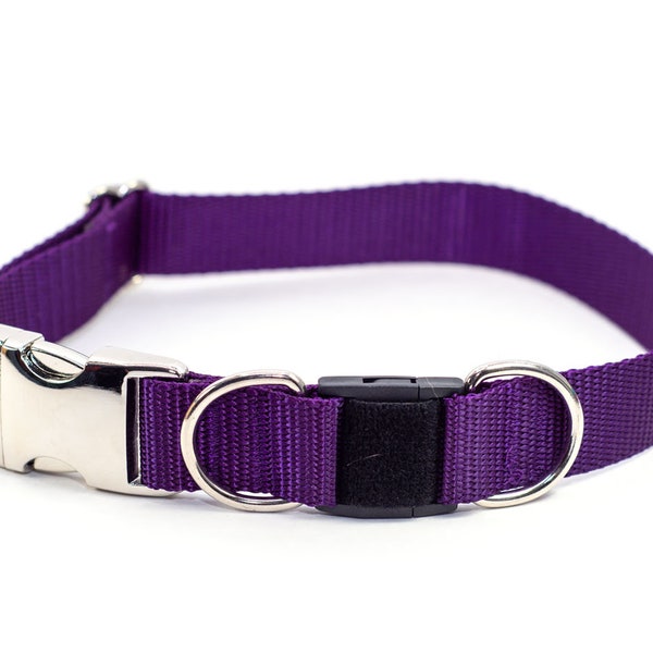 Purple Dog Collar - Etsy