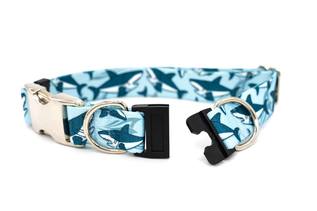BREAKAWAY Personalized "blue Sharks" Dog Collar - Safety Collar, Sharks ...