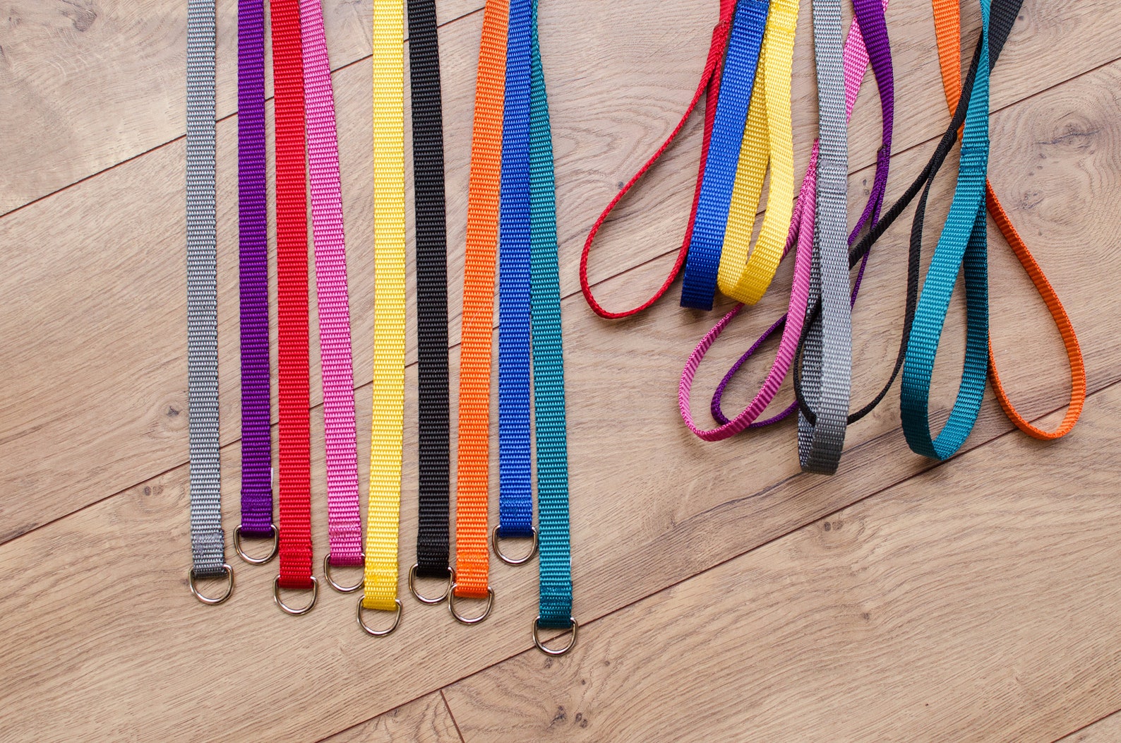 Slip Lead Slip Leashes Kennel Lead Show Lead Collar Leash - Etsy