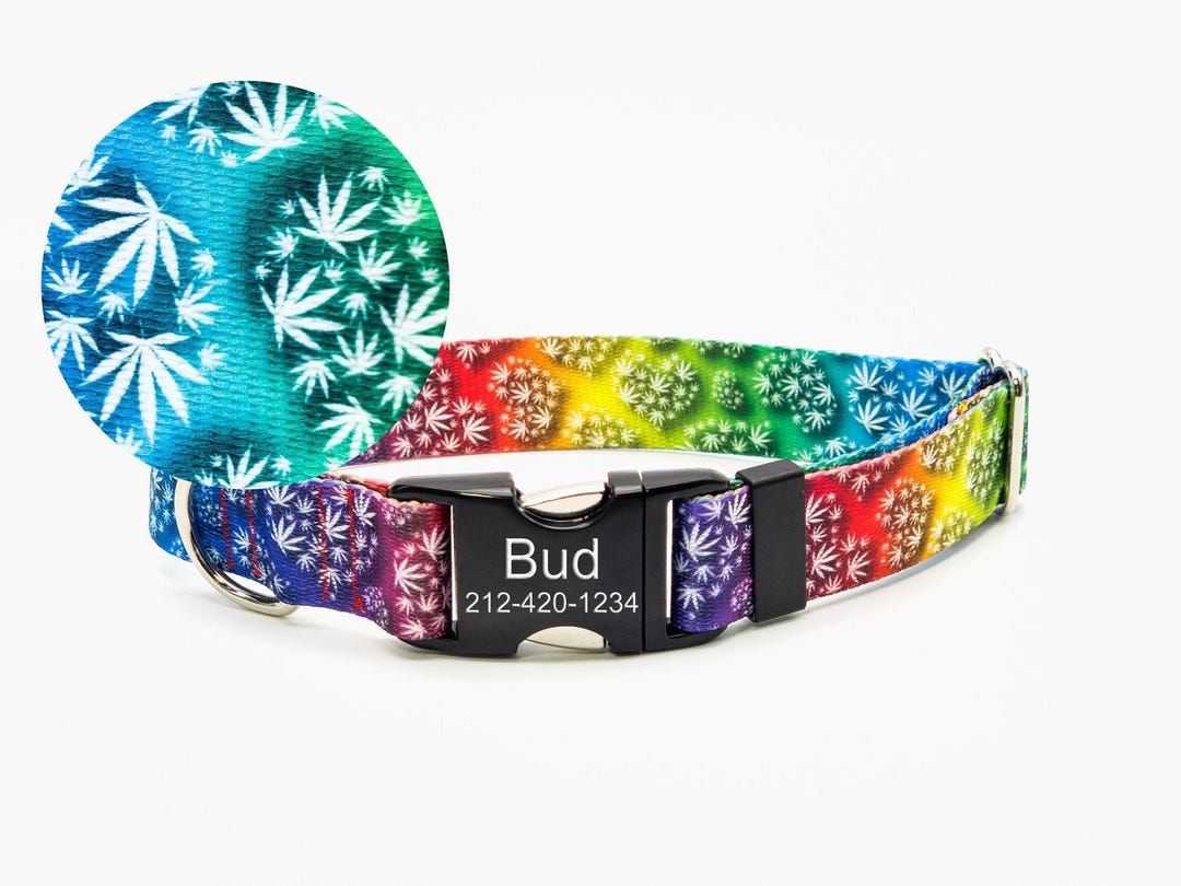 Personalized "groovy Ganja" Flat Adjustable Dog Collar, Metal or ...