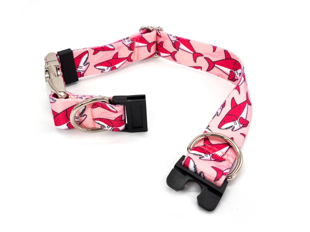 BREAKAWAY Personalized "pink Sharks" Dog Collar - Safety Collar, Sharks ...