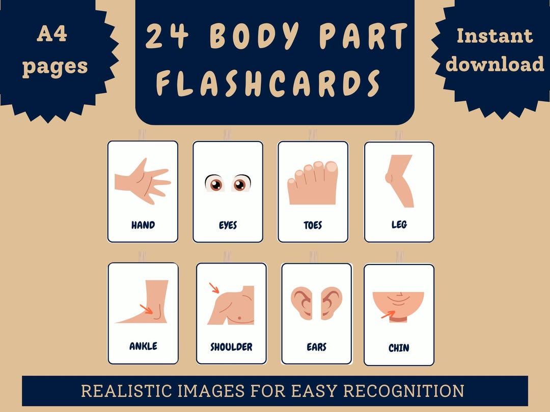 24 Body Parts Flashcards | for Babies & Toddlers | Digital Download - Etsy