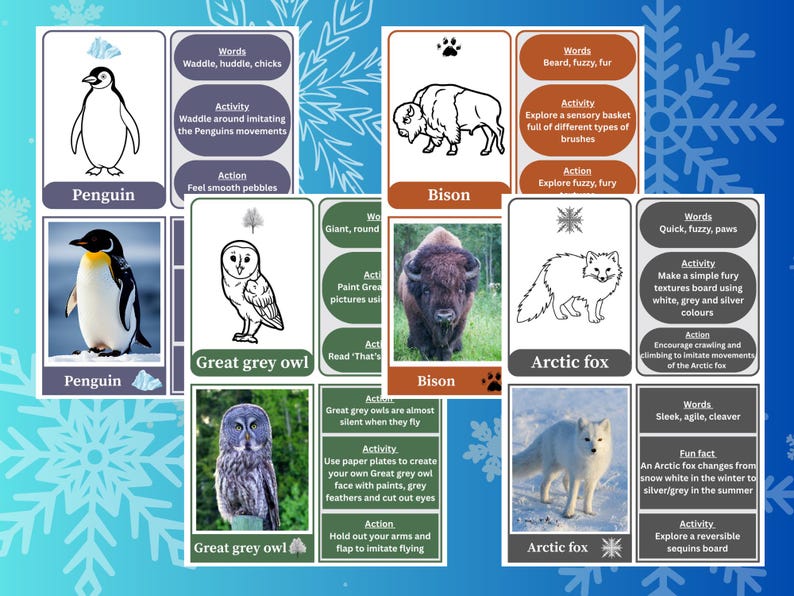 Arctic Animal Flashcards Pack for Kids - Etsy