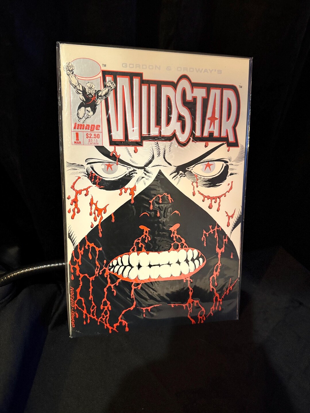 WILDSTAR 1 Comic Book - Etsy