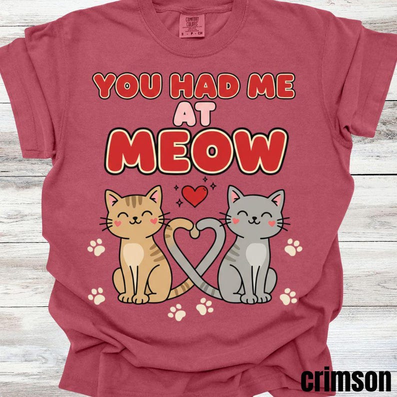 You Had Me at Meow Shirt, Cute Cat Valentine Tee, Cat Lover Gift ...