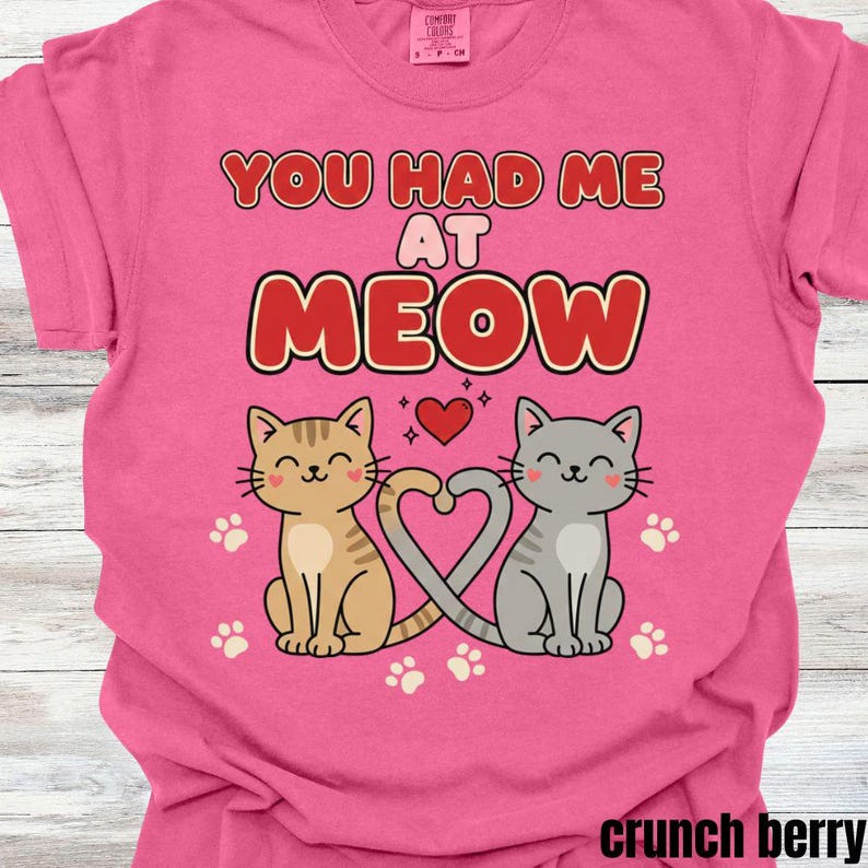 You Had Me at Meow Shirt, Cute Cat Valentine Tee, Cat Lover Gift ...