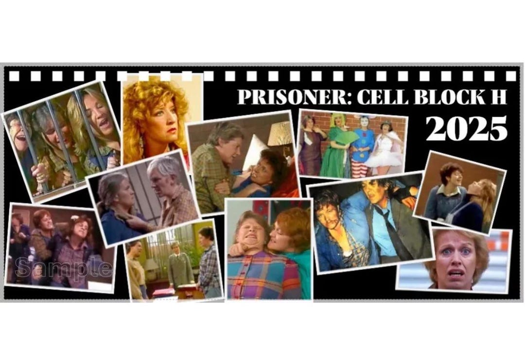 Last Years’ Prisoner Cell Block H - Desk Calendar 2025 - Etsy