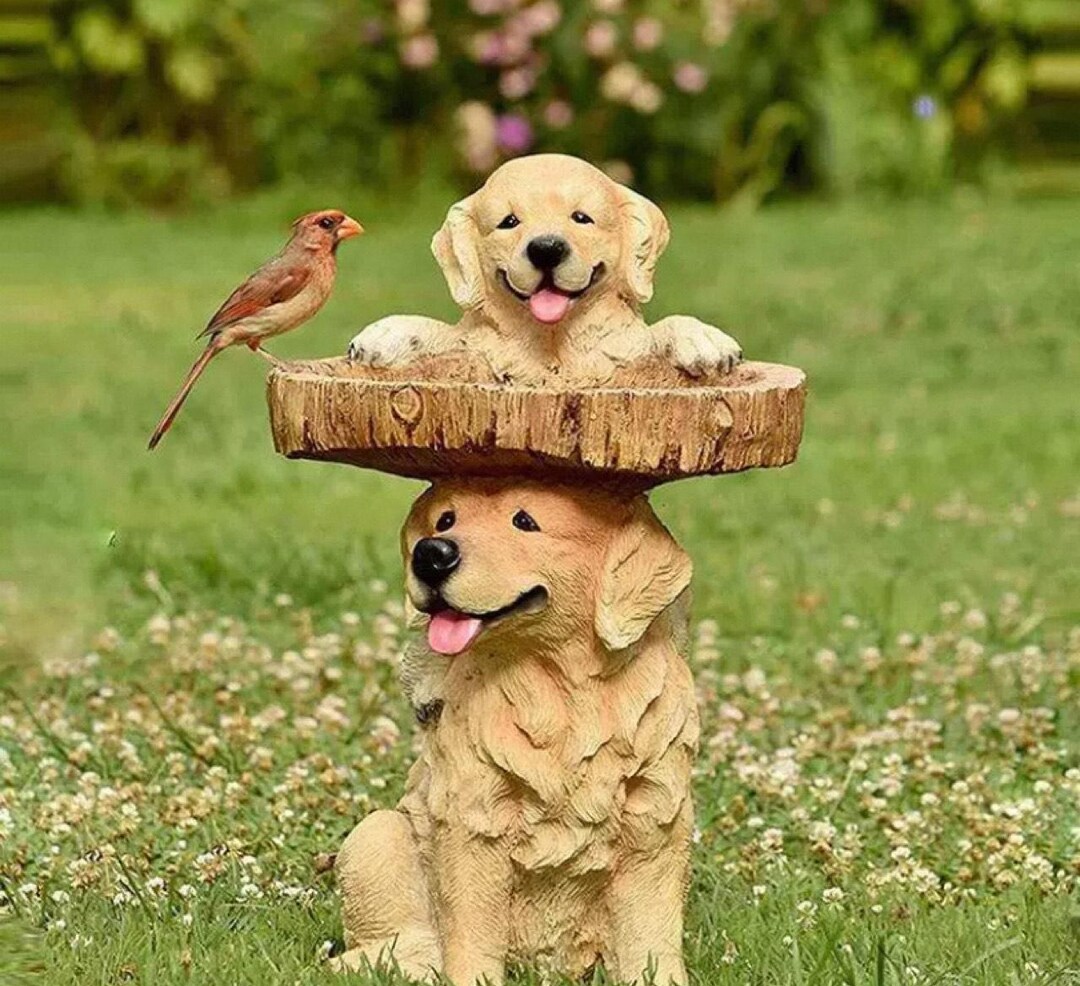 Bird Bath Dog Golden Labrador Statue, Garden Ornament, Animal Sculpture ...