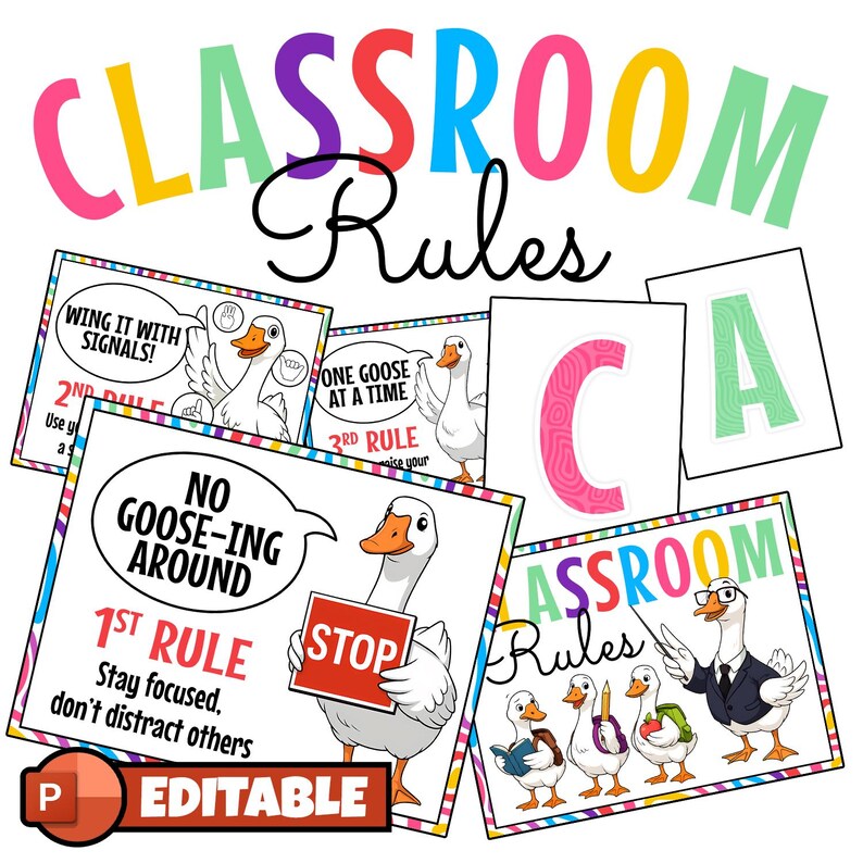 Silly Goose Classroom Rules Posters: Editable Behavior Management Decor ...