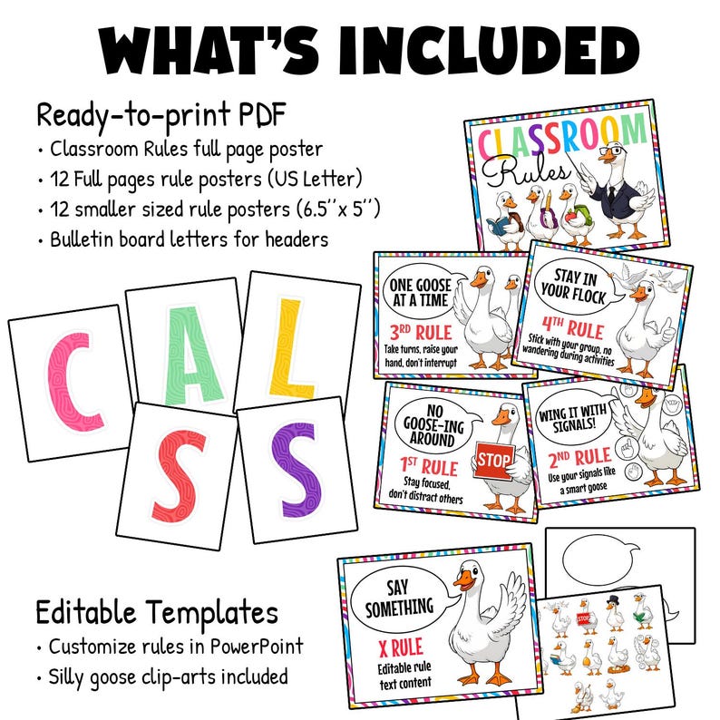 Silly Goose Classroom Rules Posters: Editable Behavior Management Decor ...