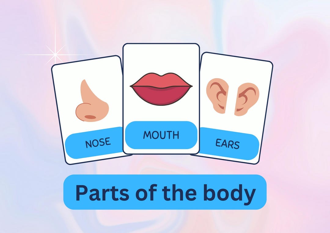 Parts of the Body Flash Cards for Kids - Etsy