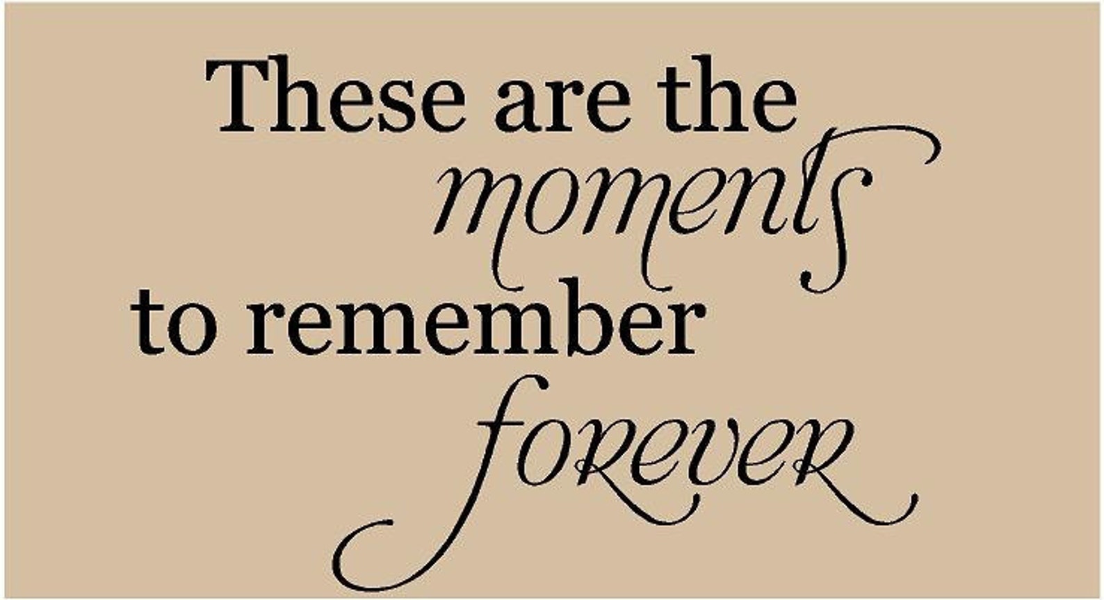 These Are the Moments to Remember Forever 30x20 Vinyl Decal Wall Art ...