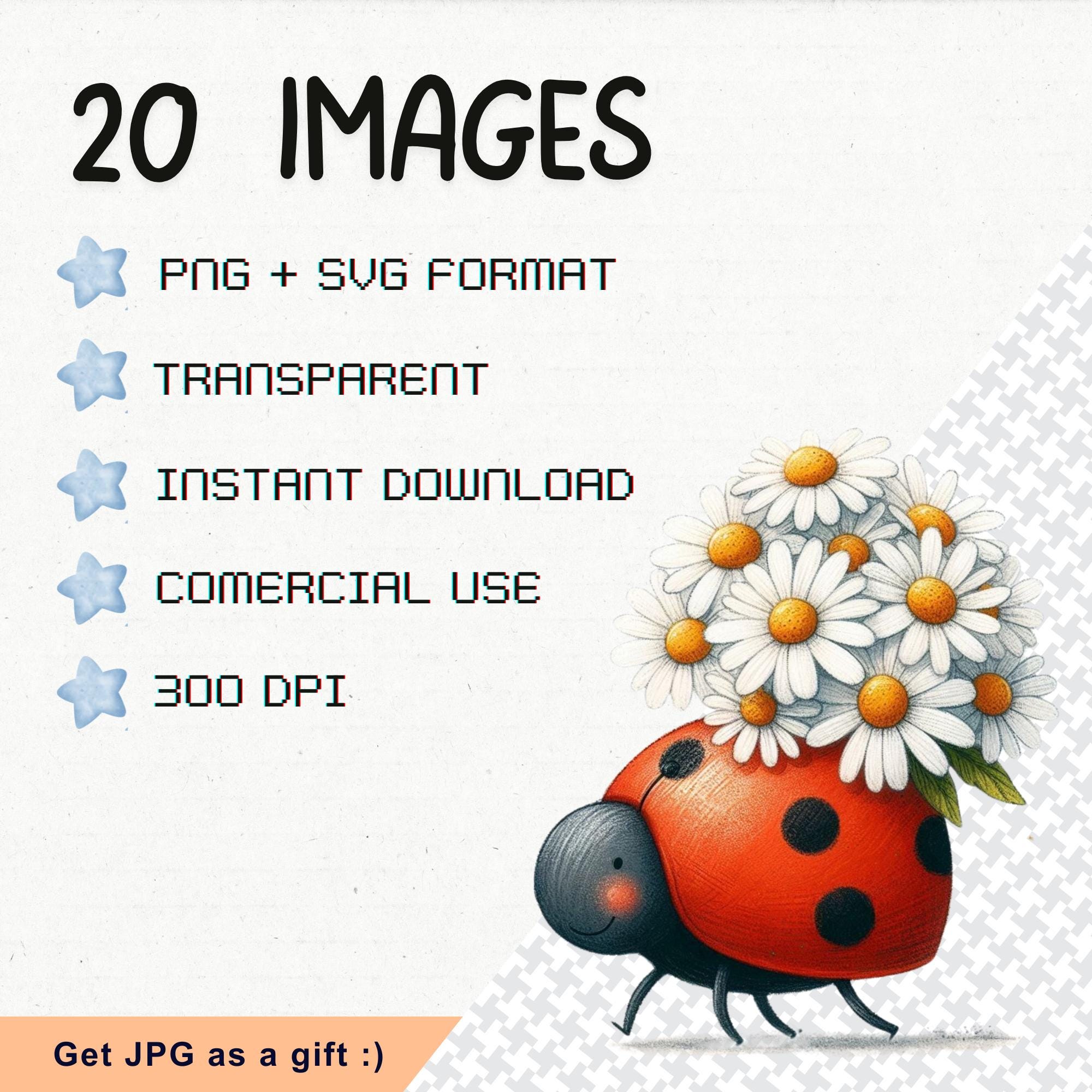 Cute Spring Ladybug Clipart PNG & SVG – 20 Quirky Garden Insects With ...