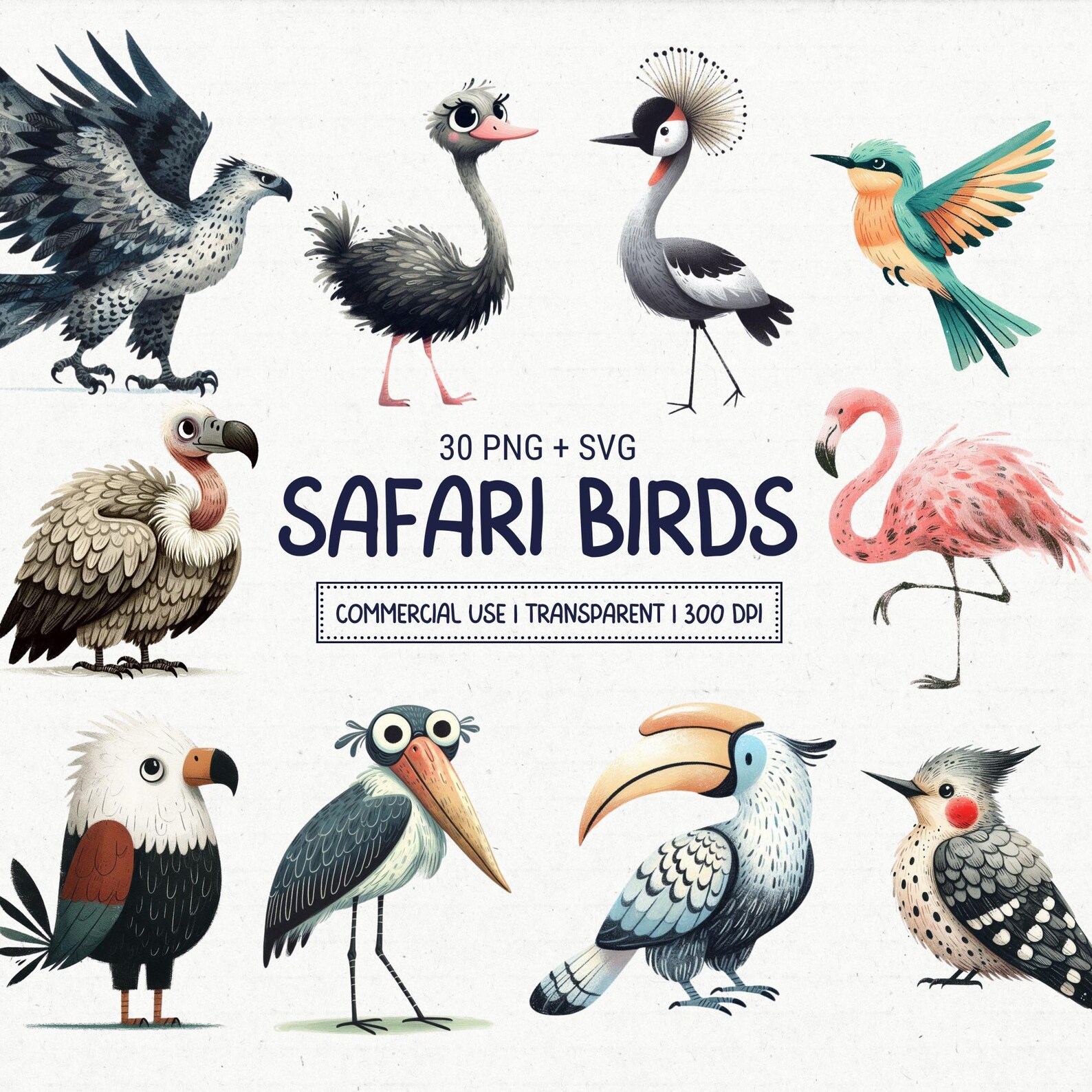 Cute Safari Birds Clipart PNG & SVG Bundle Quirky Funny Wild Life ...
