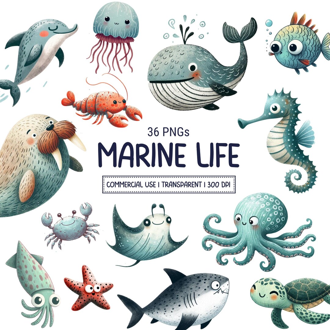 Cute Marine Life Clipart PNG – Quirky Ocean Animals, Sea Creatures ...