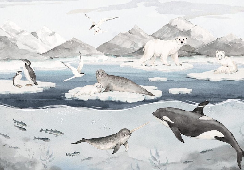 Arctic Animals Wallpaper Mural - Hand-painted Polar Wildlife ...
