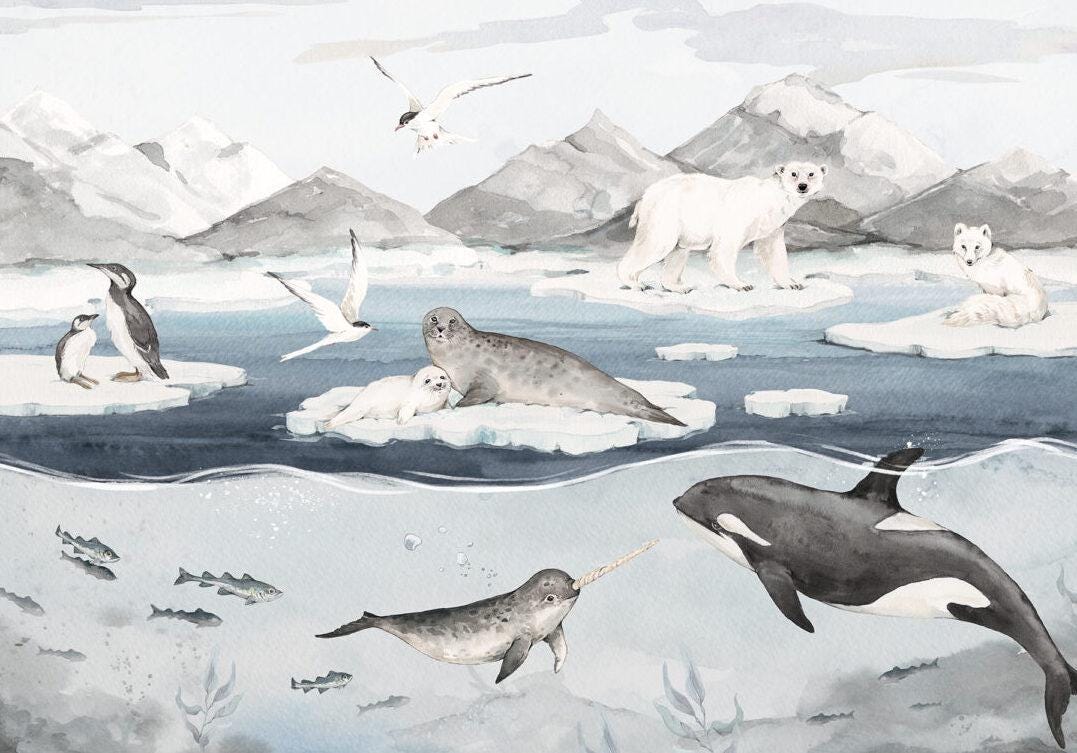 Arctic Animals Wallpaper Mural - Hand-painted Polar Wildlife ...