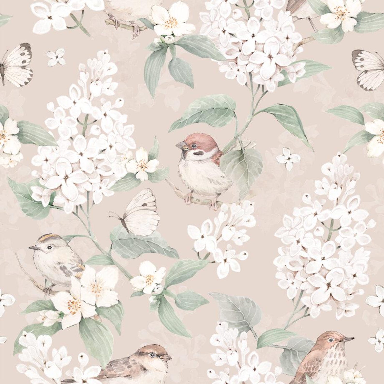 May Birds Wallpaper – Vintage Bird Wall Mural, Hand-painted Botanical ...