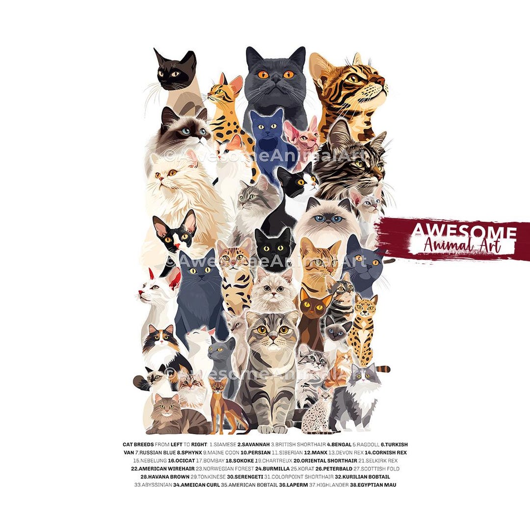 Cat Breeds Collage, Cat Print, Hand Drawn Cat Poster, Black Cat Art ...