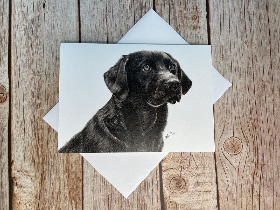 Black Labrador Greeting Card: Handmade Dog Art - 7x5" - Etsy