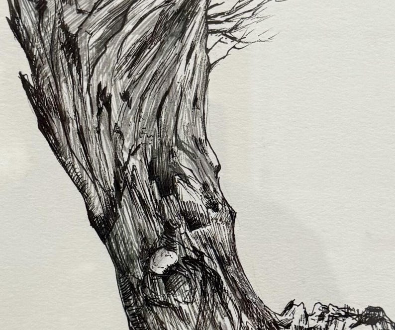 Pen and Ink Sketch of a Tree Trunk - 6"x8" - - Etsy