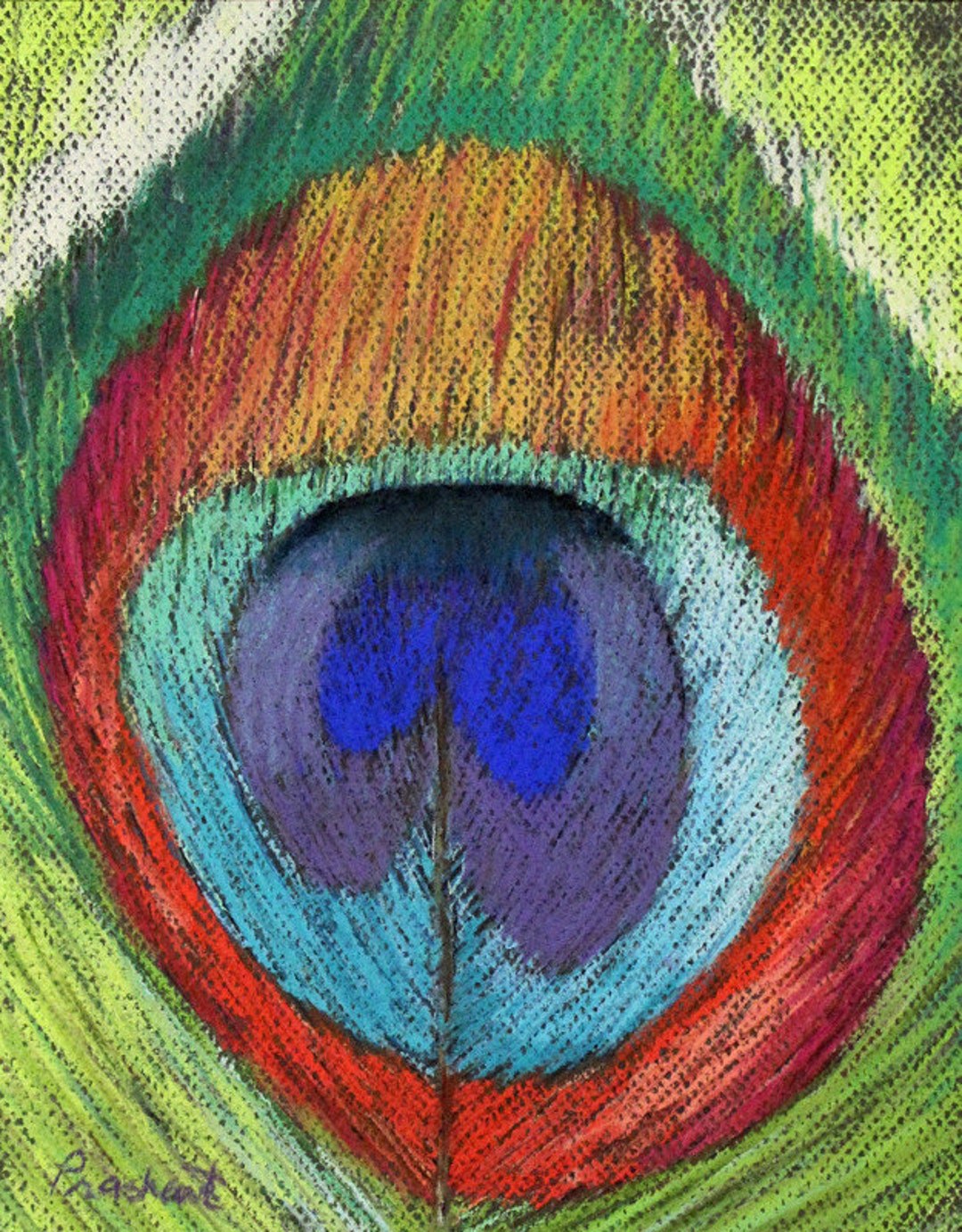 Colorful Peacock Feather Painting