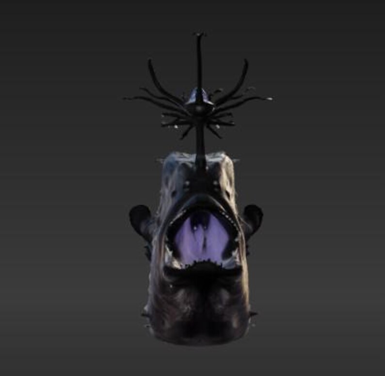 Deep Sea Angler Fish 3D Model – Highly Detailed, Game-ready, Rigged ...