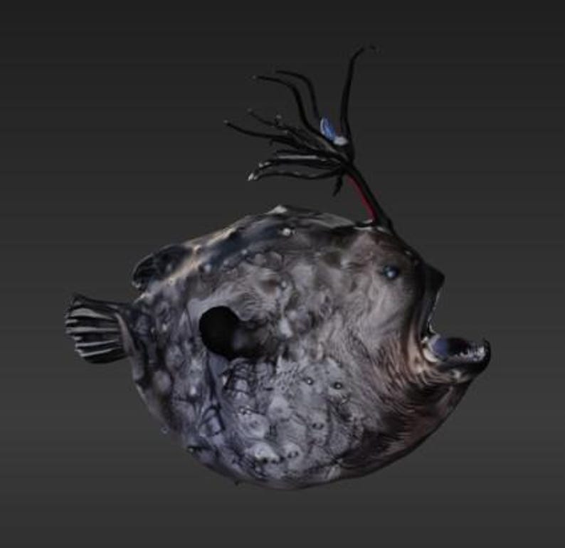 Deep Sea Angler Fish 3D Model – Highly Detailed, Game-ready, Rigged ...